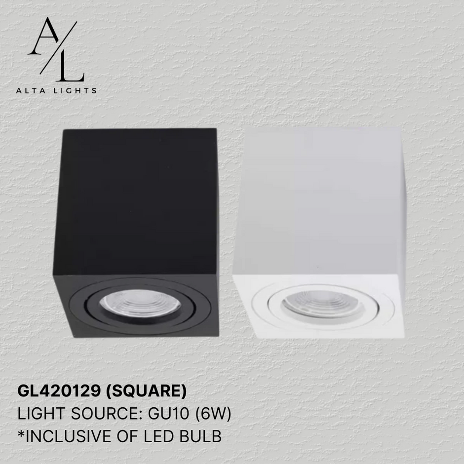 Surface Mounted – ALTA LIGHTS