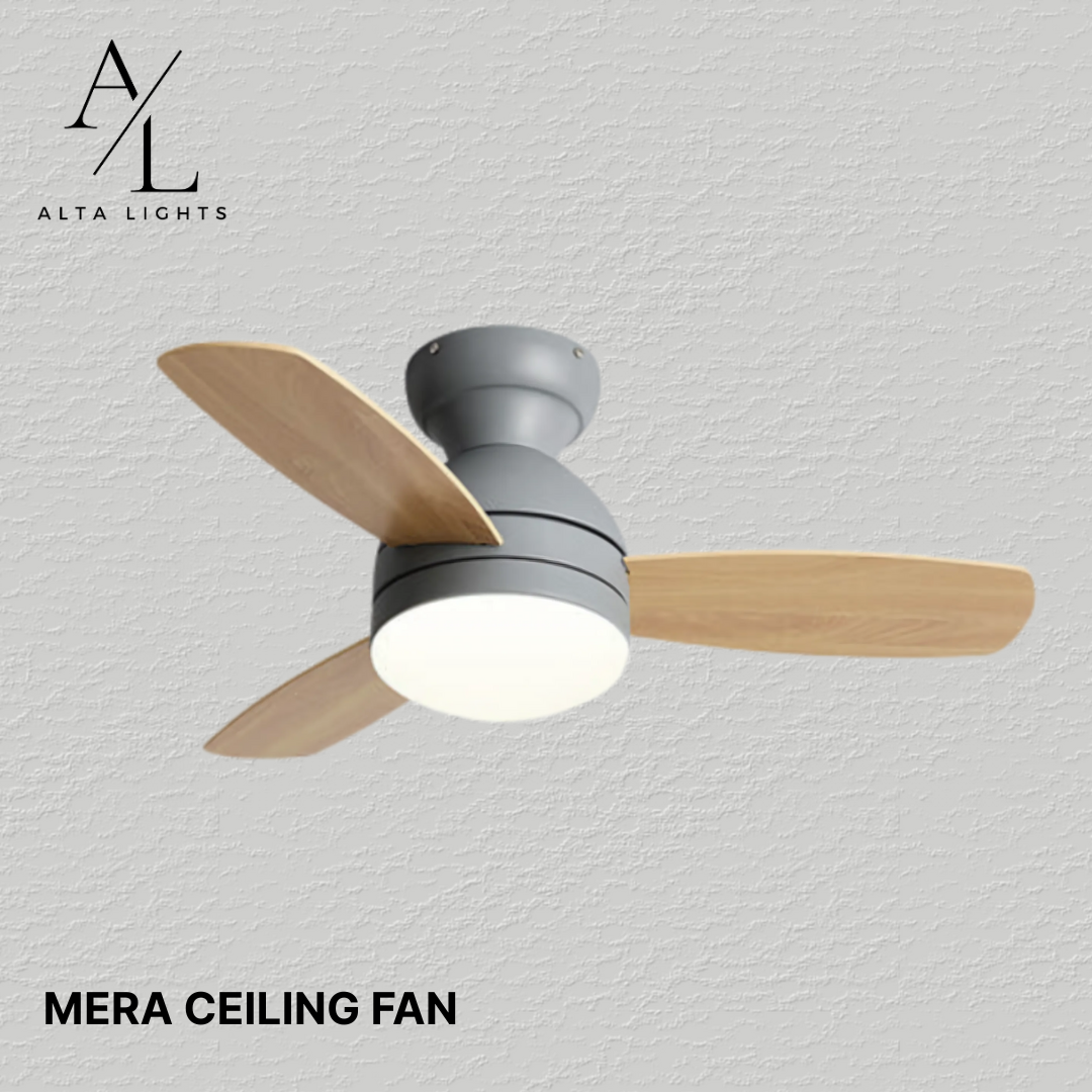 Mera Ceiling Fan – ALTA LIGHTS